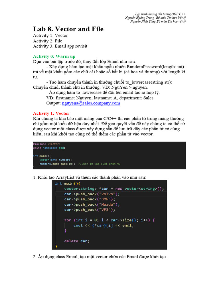 Lab8 Vector and File | PDF
