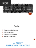 Citrobacter freundii Biochemical Profile | PDF | Microbiology