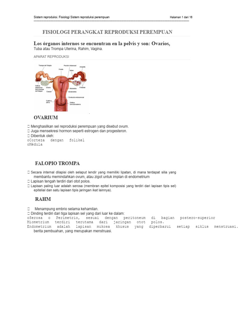 Fisiologi Alat Reproduksi Perempuan | PDF