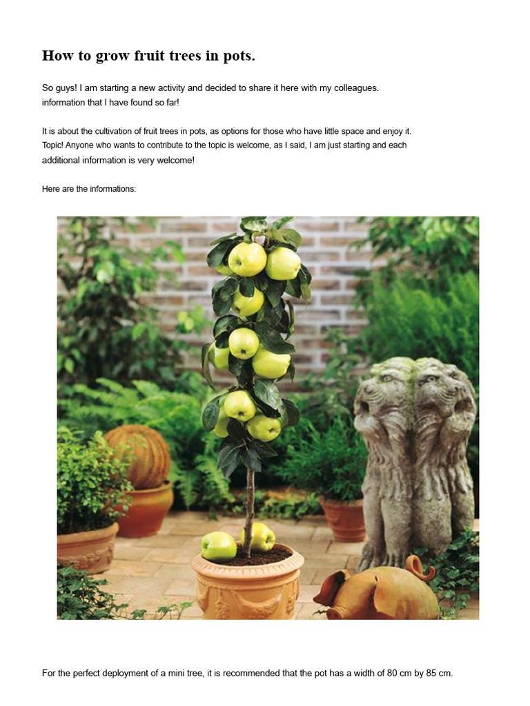 Growing Fruit Trees in Pots Guide | PDF | Trees | Soil