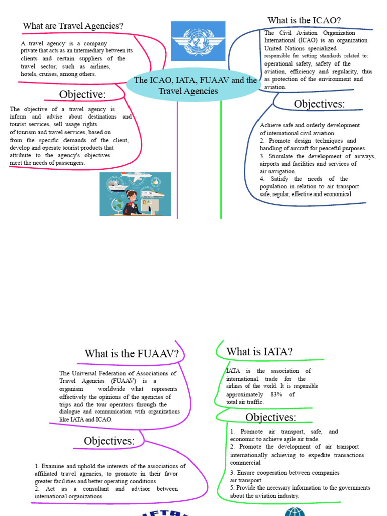ICAO and Travel Agencies Explained | PDF | Airlines | Aviation