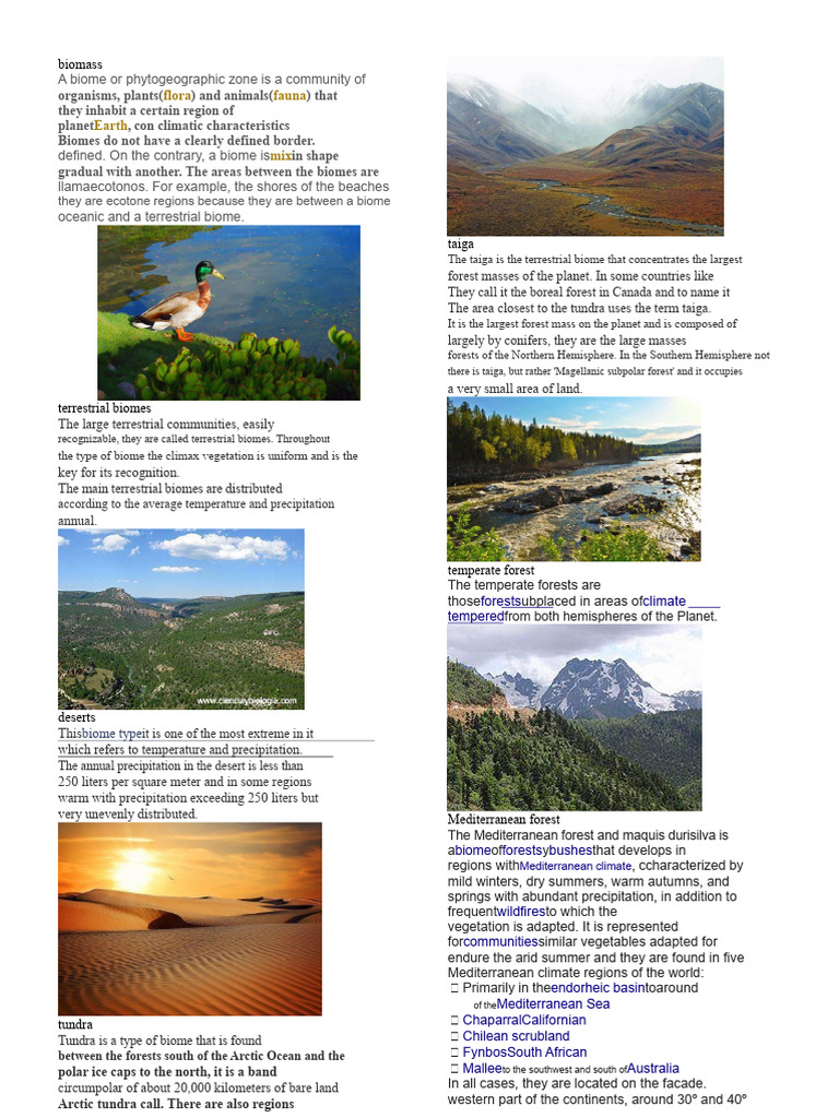 Biomes | PDF | Forests | Savanna