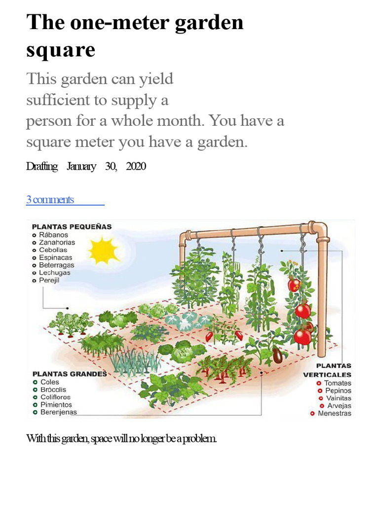 The one square meter garden | PDF