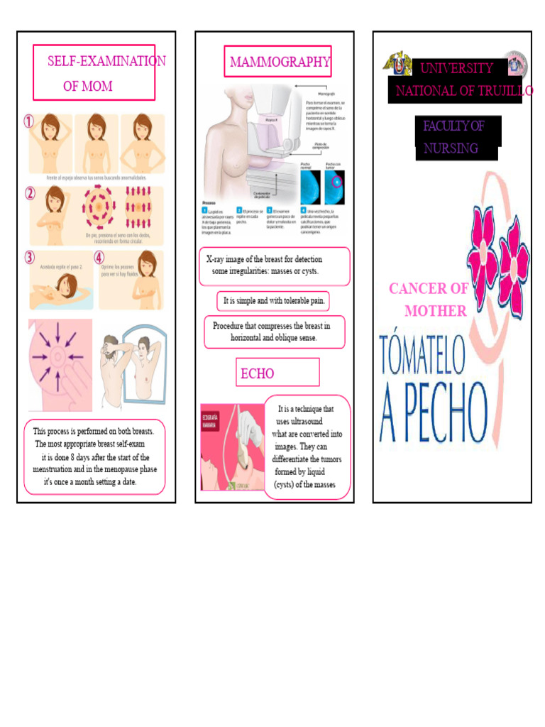 Breast Cancer Brochure | PDF | Breast Cancer | Mammography