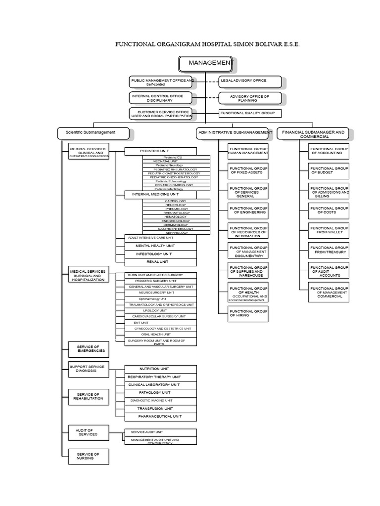 Functional Organizational Chart | PDF | Pediatrics | Surgery