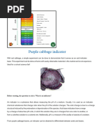 Purple Cabbage Acid-Base Indicator Experiment | PDF | Ph | Acid