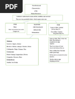 Kelp Forest Food Web Overview | PDF