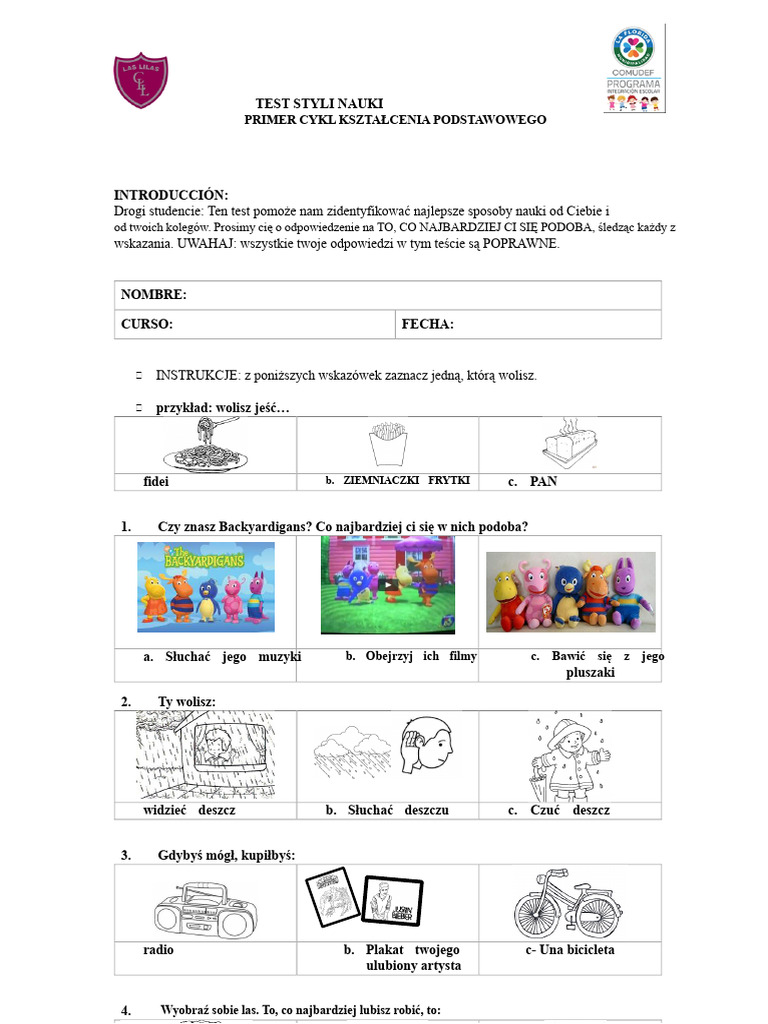 Test Stylów Uczenia Się 1 Cykl | PDF