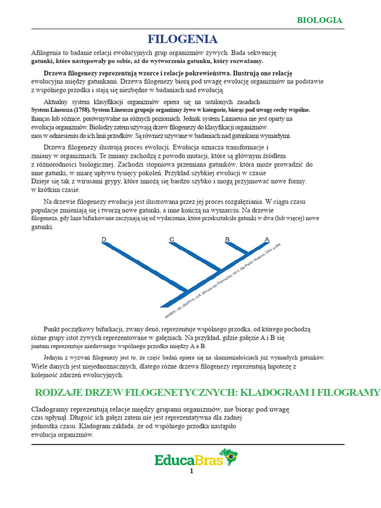 Filogeneza | PDF