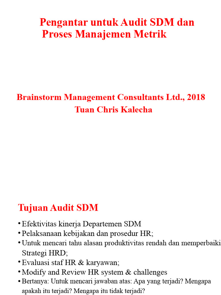 Pengantar Audit SDM Dan Proses Manajemen Metrik | PDF