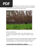 Paduri de Conifere | PDF
