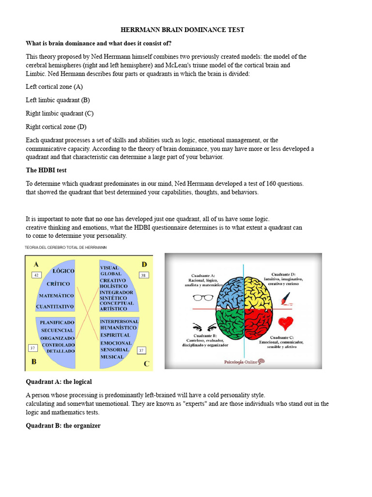 Herrmann Brain Dominance Test | PDF