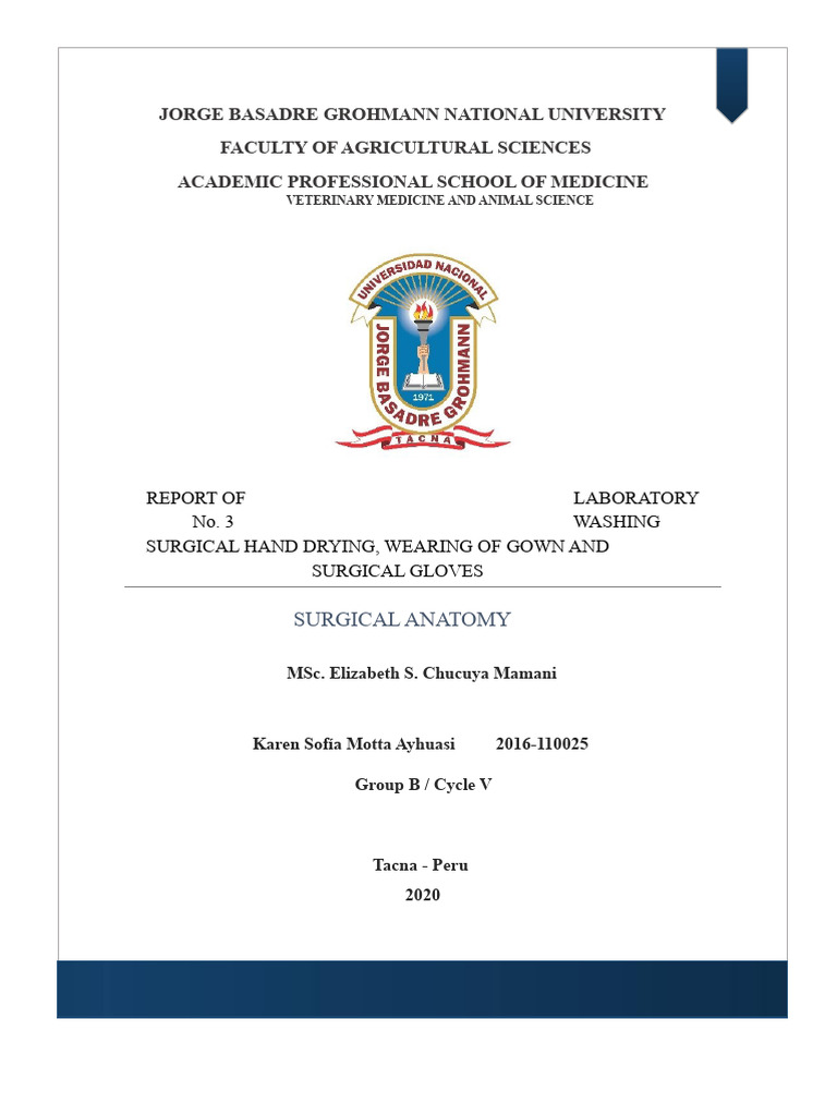 Report 3. Surgical Washing and Drying of Hands, Placing of Surgical ...