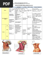 Cervical Lymph Node Mapping Guide | PDF