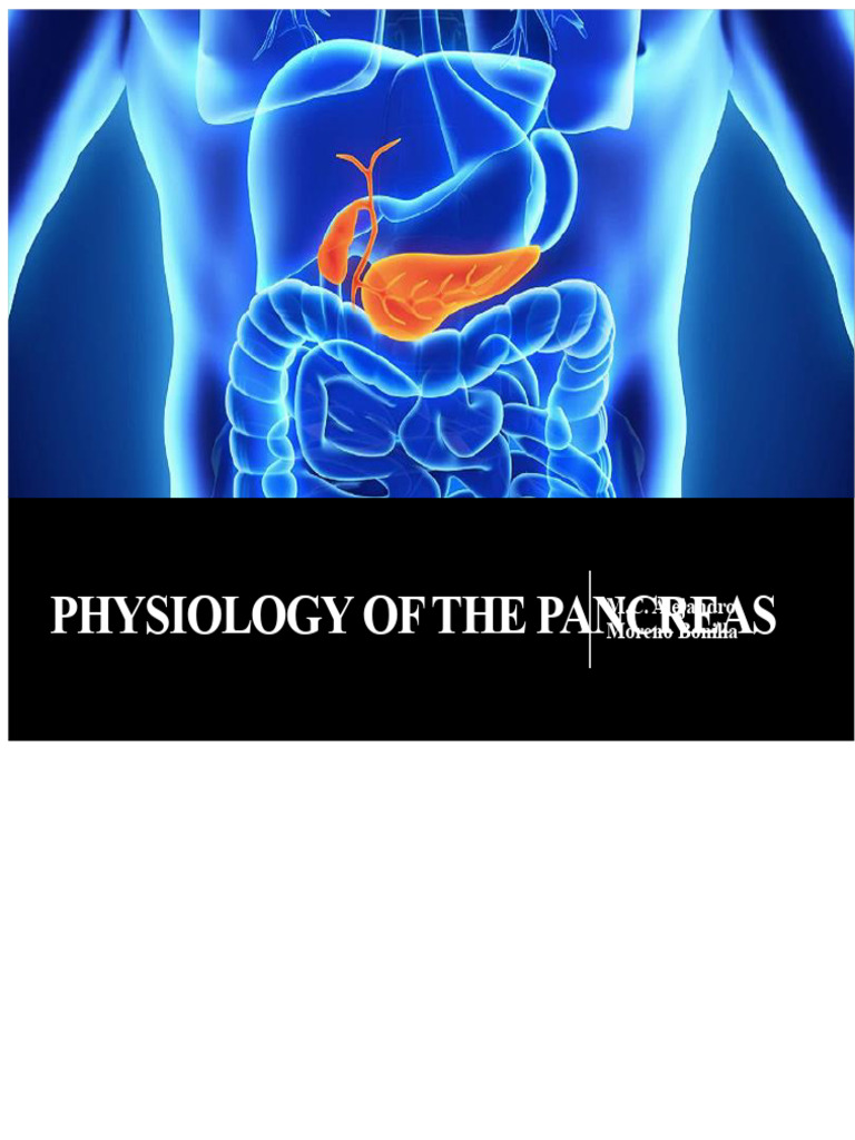 Pancreas Physiology and Insulin Function | PDF | Pancreas | Insulin