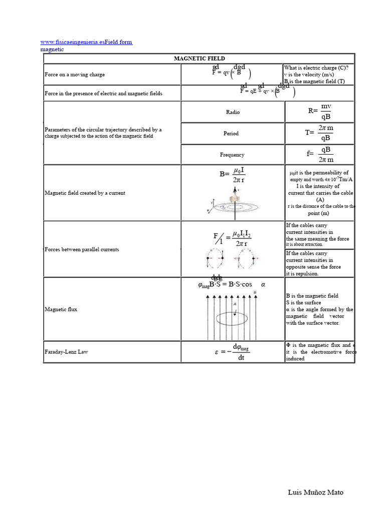 Magnetic field form | PDF | Magnetic Field | Force