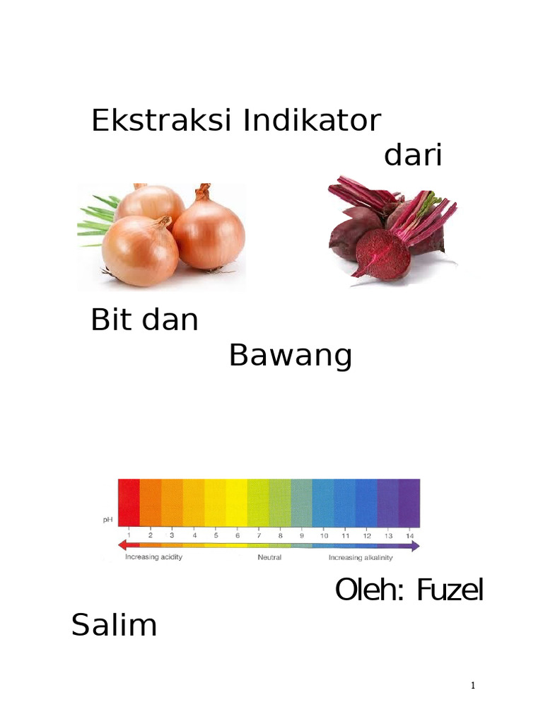 Indikator pH dari Bit dan Bawang | PDF