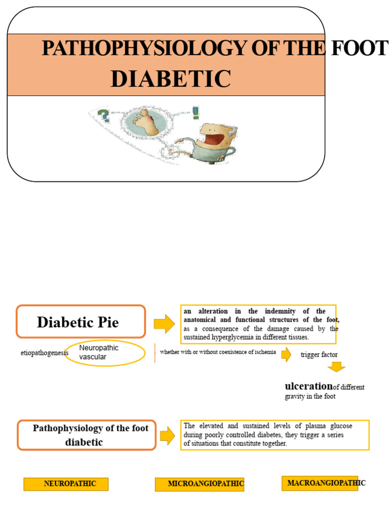 Diabetic Foot Pathophysiology | PDF | Atherosclerosis | Hyperglycemia