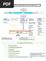 Endophytic vs Exophytic Tumors Explained | PDF