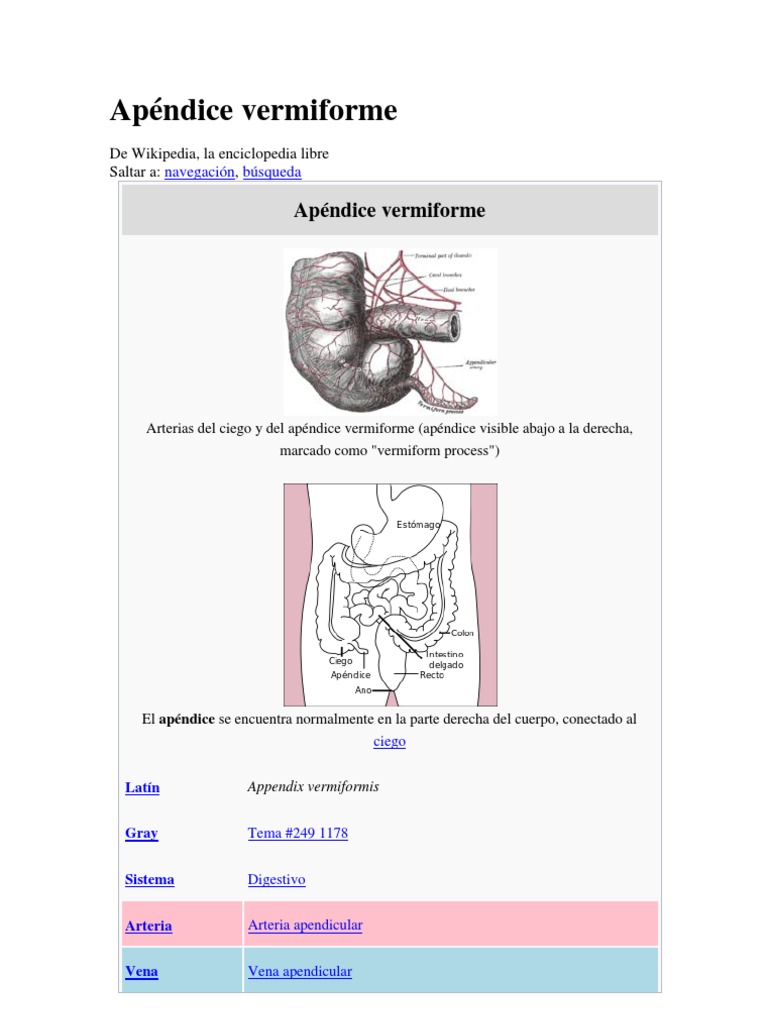 Apéndice vermiforme | Órgano (Anatomía) | Especialidades médicas