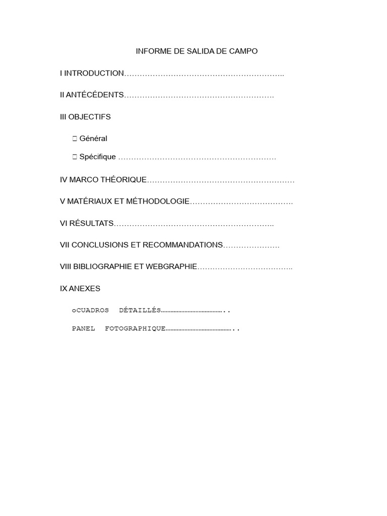 RAPPORT DE SORTIE DE CHAMP Roches | PDF | Minéral | Géologie