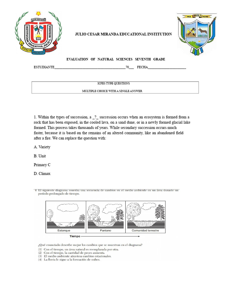 Natural Sciences Assessment Grade Seven | PDF