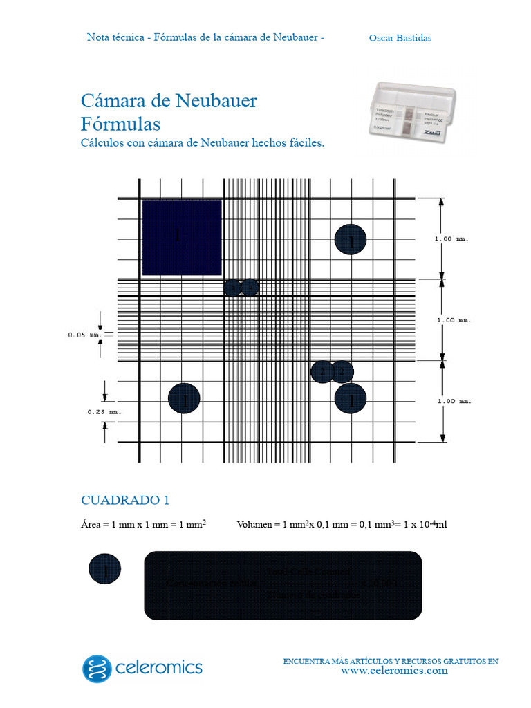 Fórmulas para Cámara de Neubauer | PDF