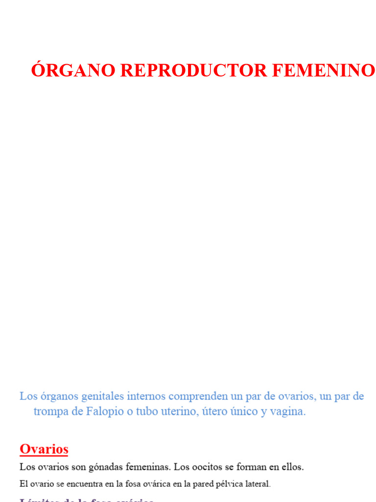 Órgano Reproductor Femenino | PDF | Ovario | Vagina