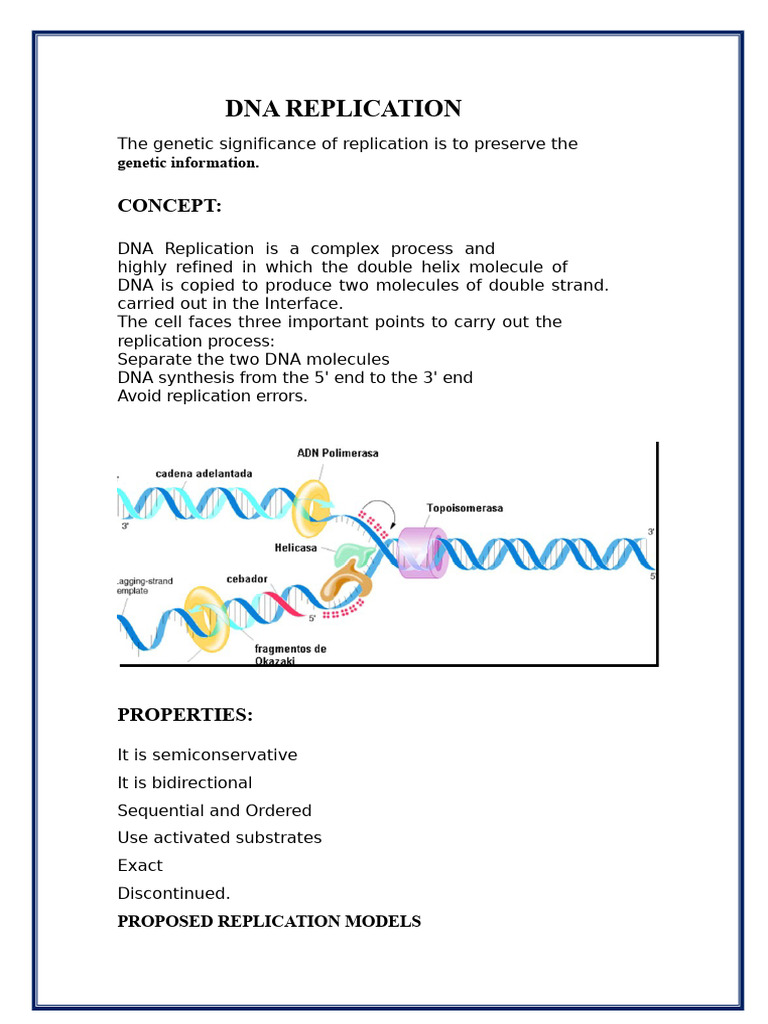 DNA Replication | PDF | Dna Replication | Dna
