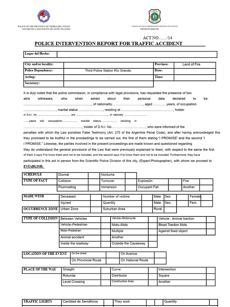 Traffic Accident Report | PDF | Traffic Collision | Witness