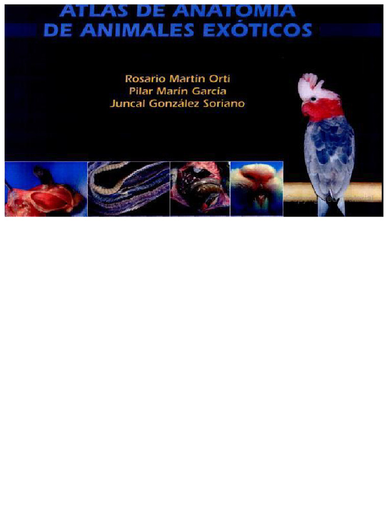 Atlas of Exotic Animal Anatomy PDF | PDF