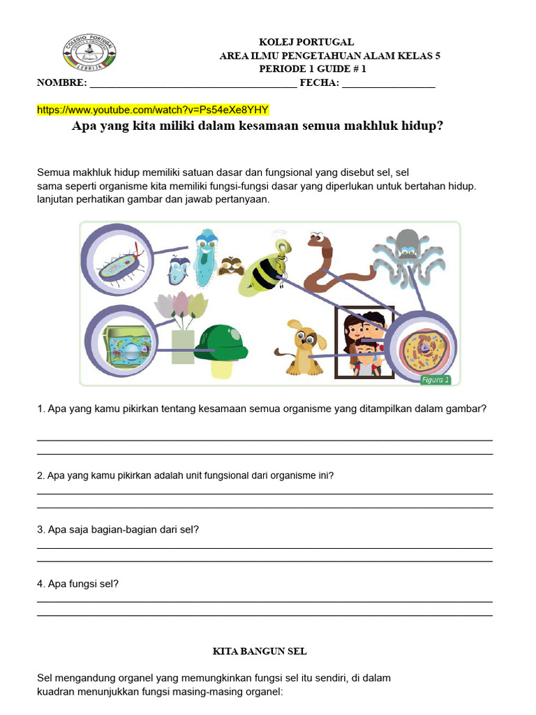 Sel dan Jaringan dalam Organisme Multiseluler | PDF