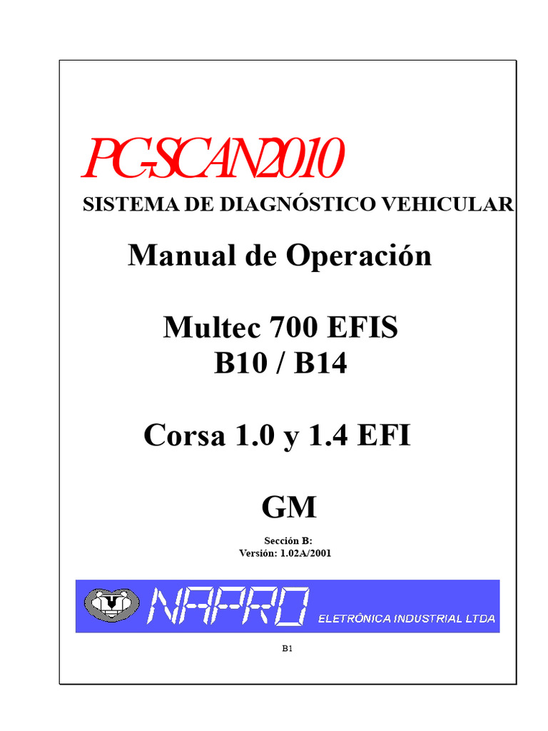 Manual de Inyección GM Multec 700 Corsa EFI | PDF | Inyección de ...