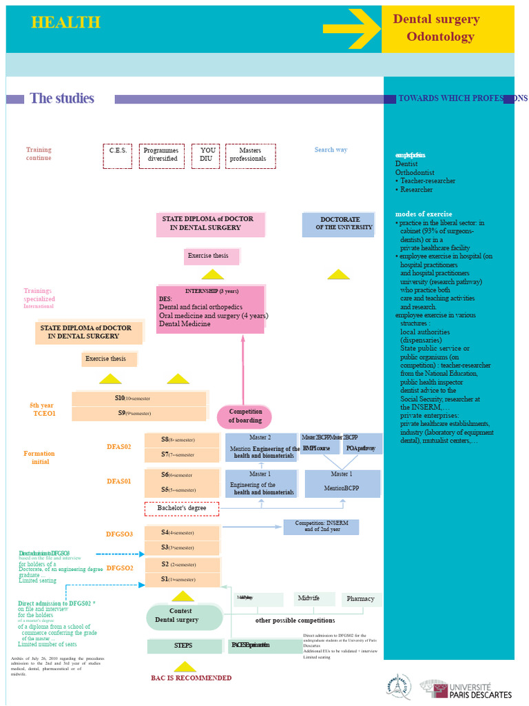 Overview of Dental Surgery Education | PDF | Dentistry | Medicine