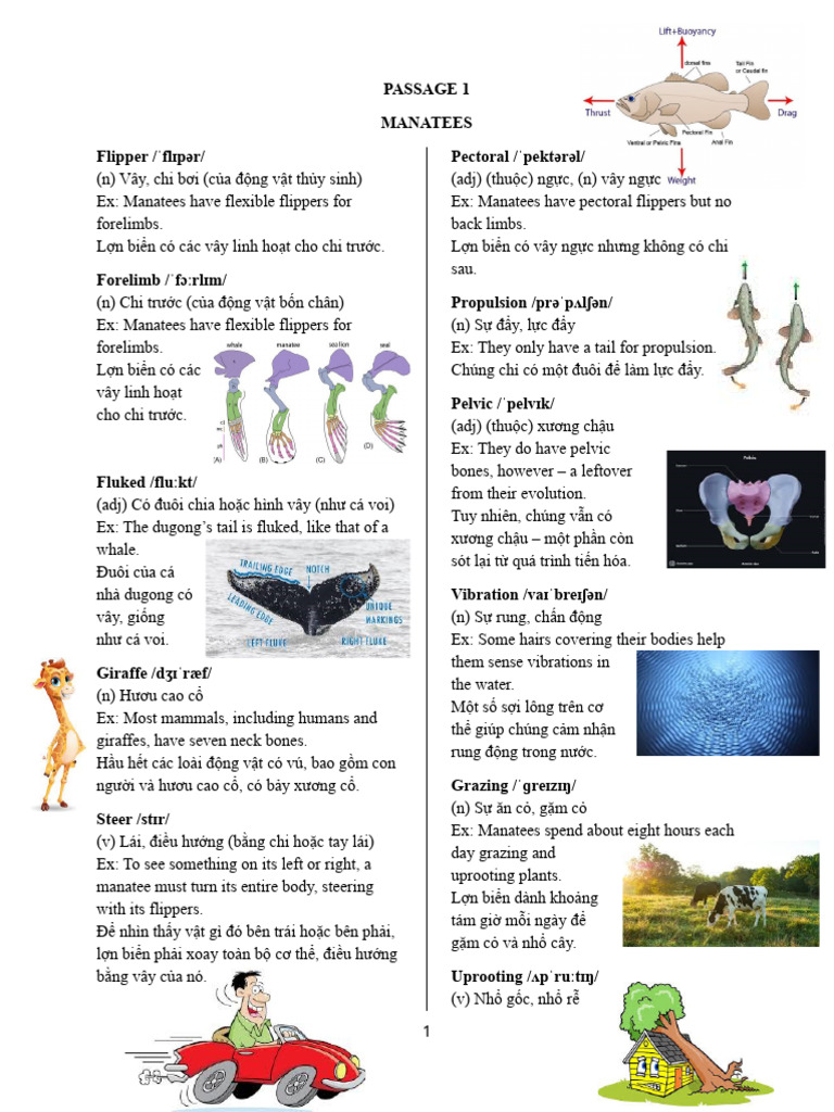 Test 2 - Vocab - Reading - Cam 20 | PDF