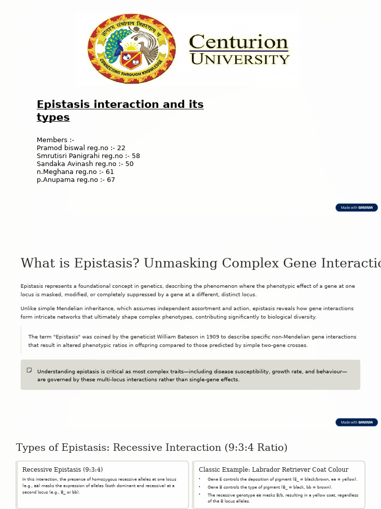 Epistasis Interactions | PDF | Dominance (Genetics) | Epistasis