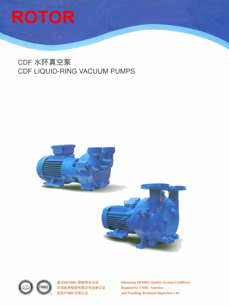 CDF Liquid-Ring Vacuum Pump Overview | PDF