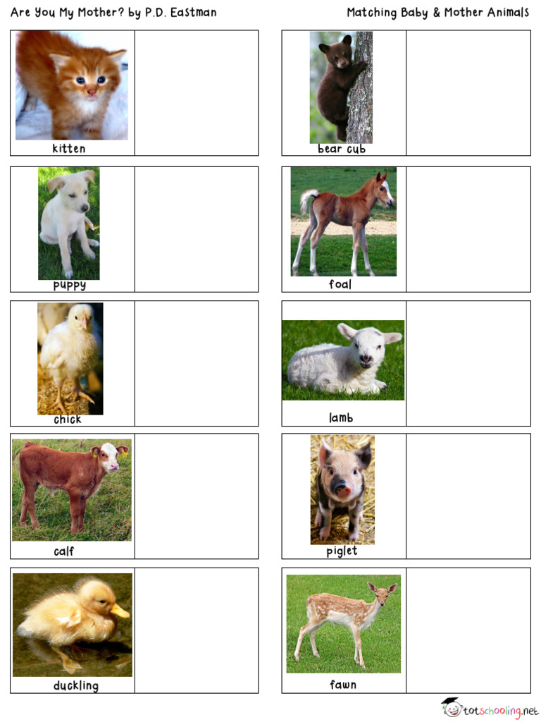 Free Mother _ Baby Animal Matching | PDF