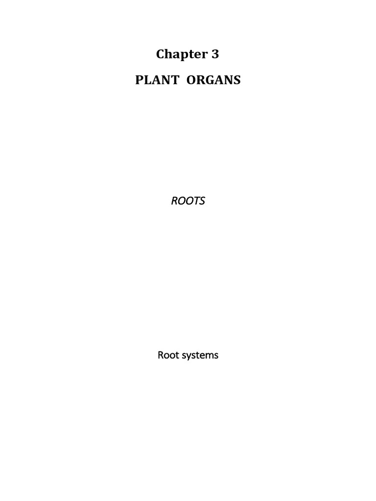 Root System2025 | PDF | Root | Tissue (Biology)