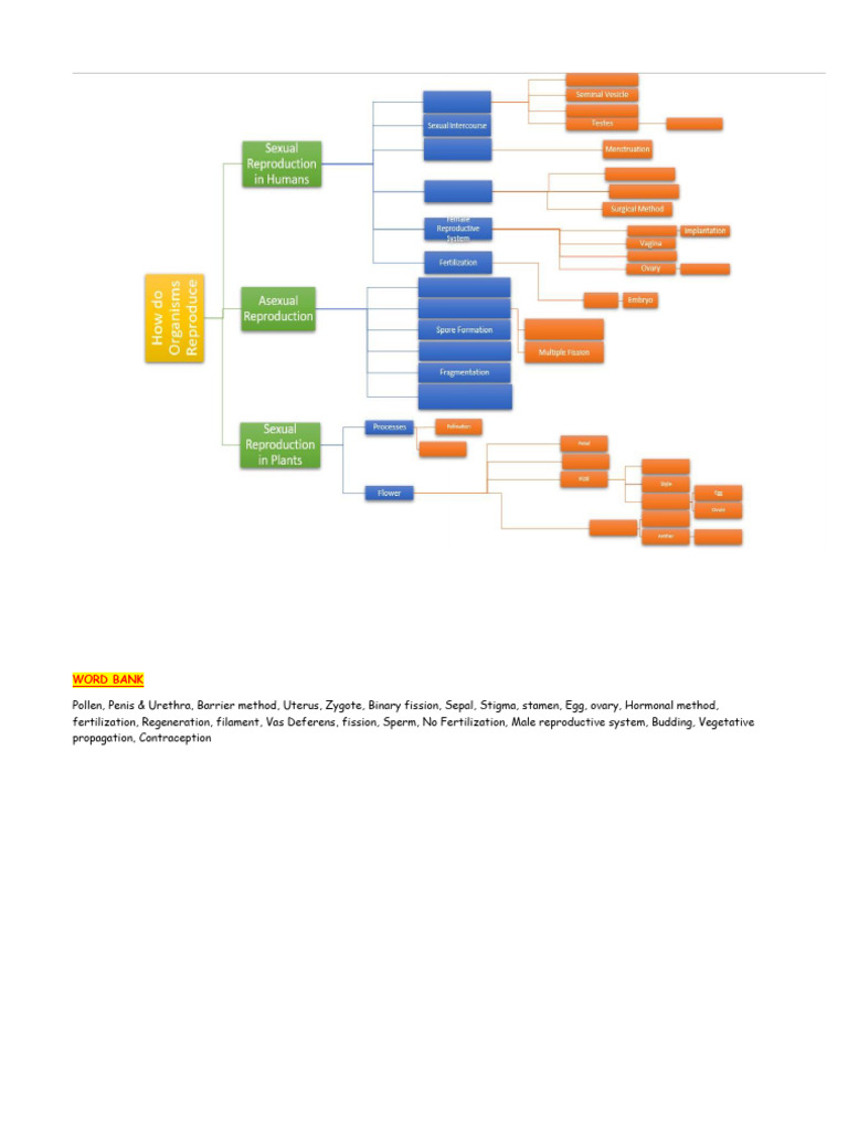 Reproduction Mind Map - X | PDF