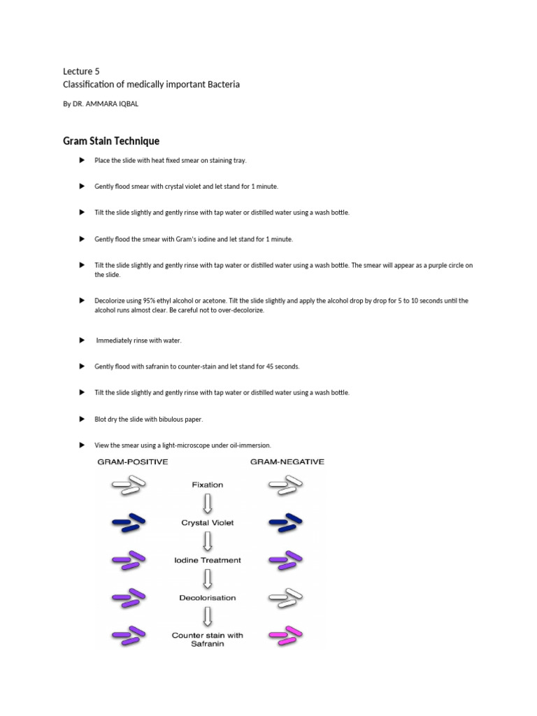 Classification of Bacteria | PDF | Staining | Prokaryote
