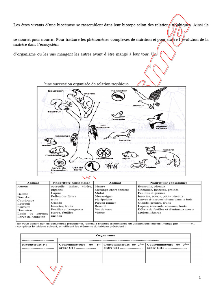 Organisation des relations trophiques écosystémiques | PDF | Réseau ...