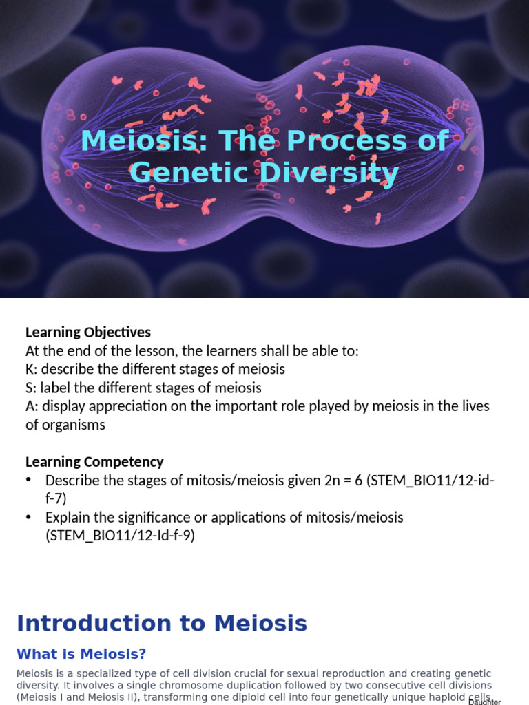 General Biology 1 Q1 Week 5 Meiosis Lesson | PDF | Meiosis | Mitosis