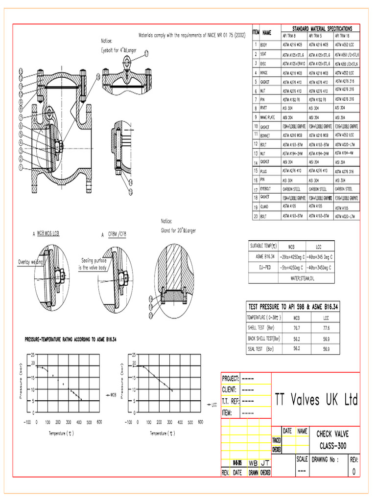 TT Class 300 Check Valve | PDF