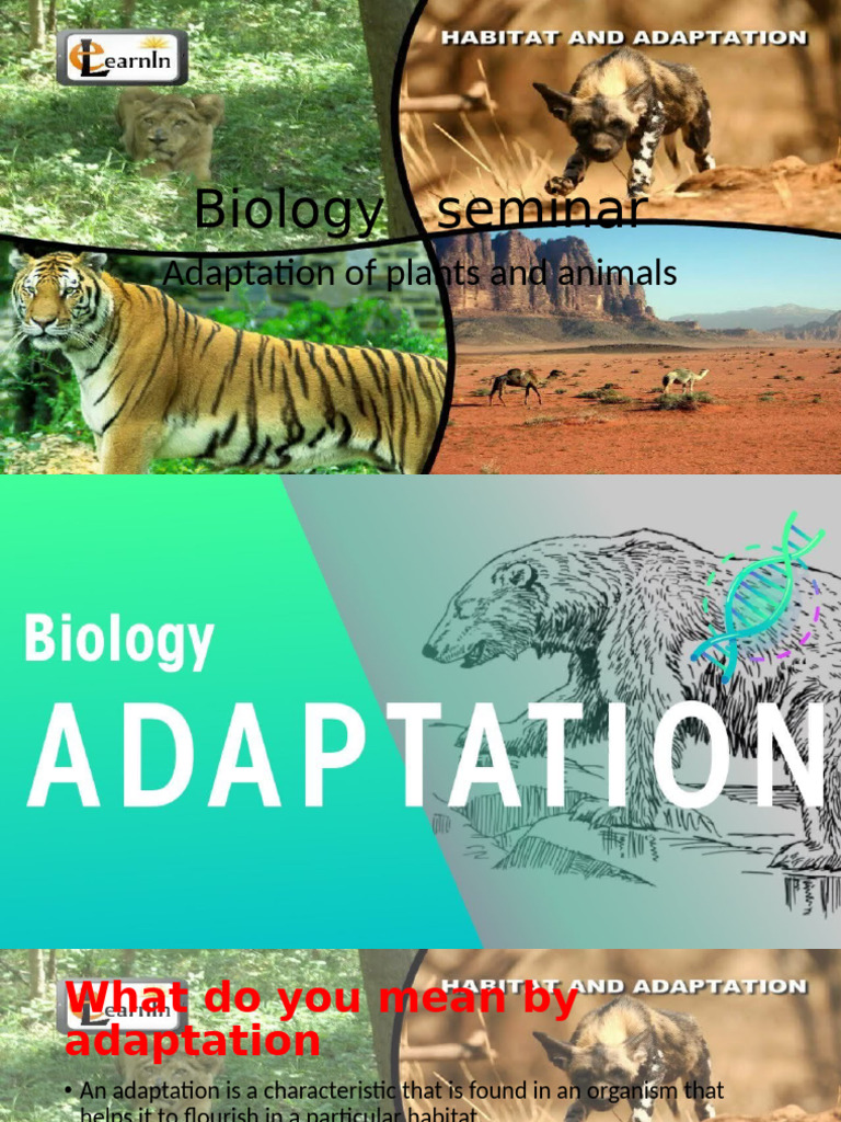 Plant and Animal Adaptations Explained | PDF