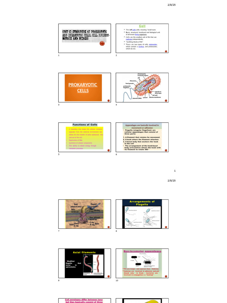 Unit Ii - Cell 2 | PDF