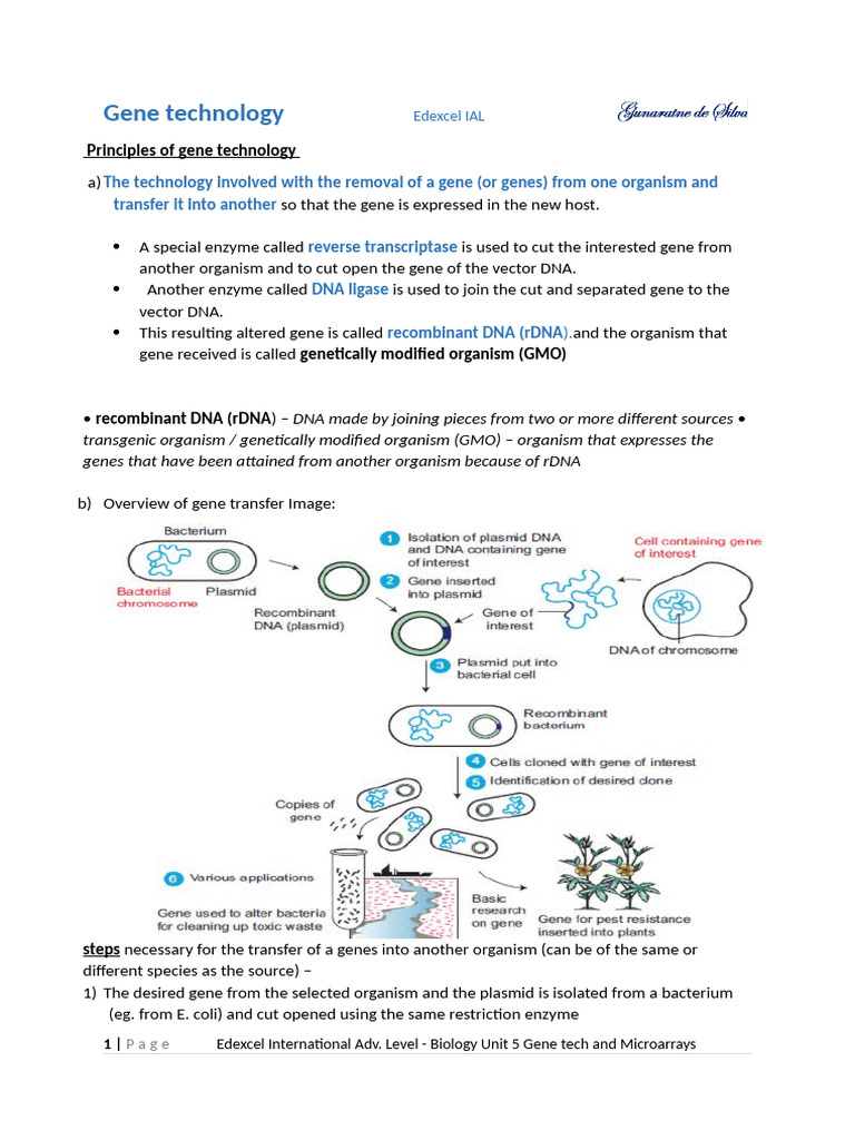 Gene Technology IAL 25 | PDF | Complementary Dna | Gel Electrophoresis