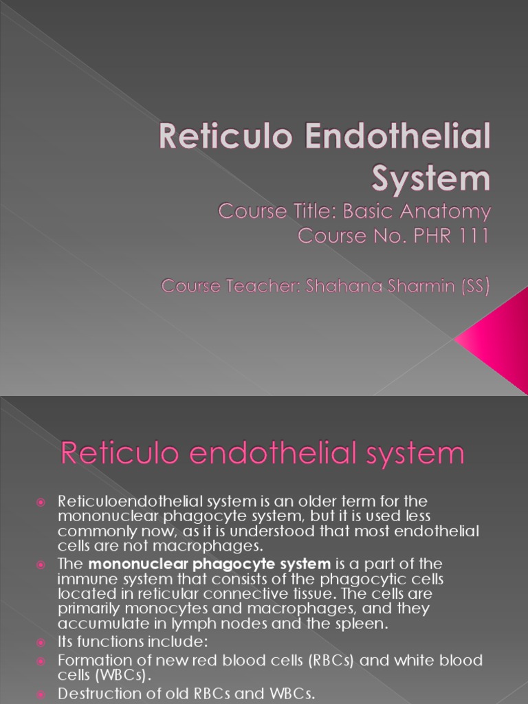 Reticulo Endothelial System | PDF | Bone Marrow | Lymphatic System