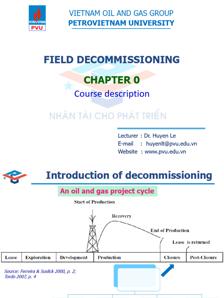 Field Decommissioning - Chapter 0 Final | PDF | Hydrocarbons | Fossil Fuels