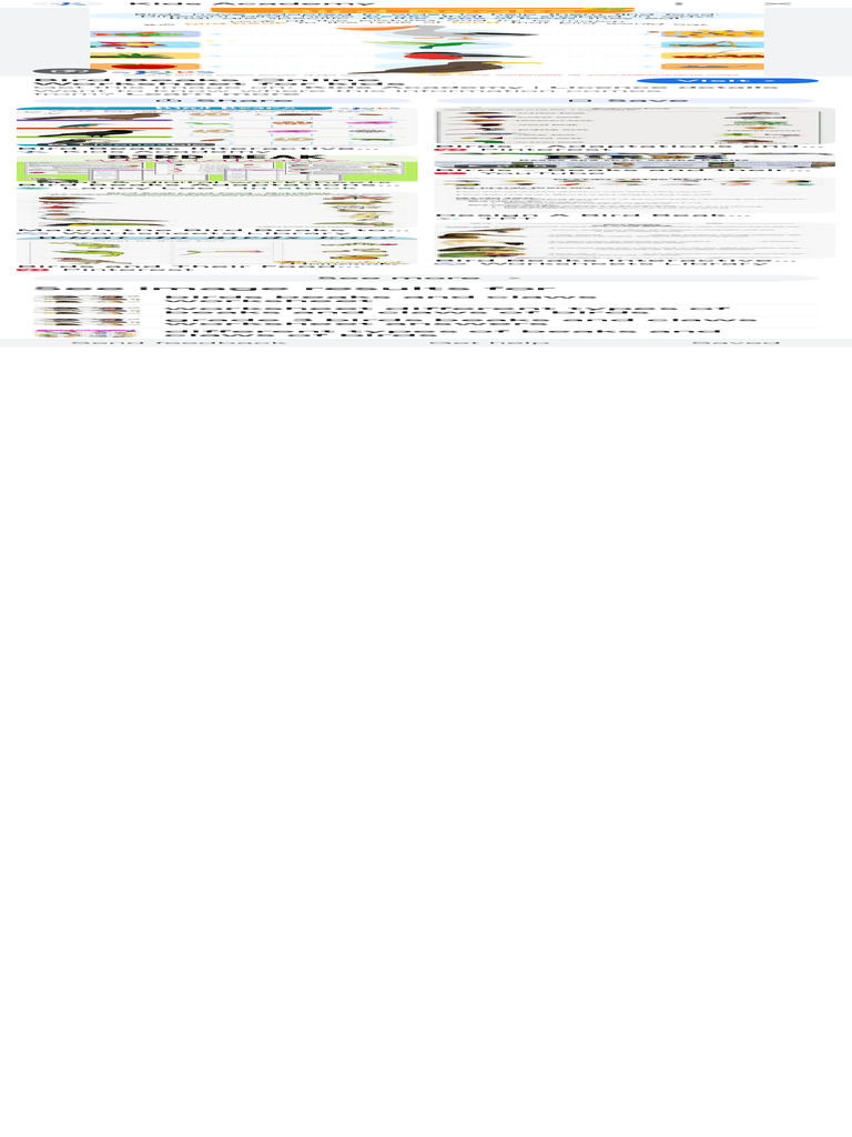 Claws Beaks 3rd Grade Animal Classification Worksheet Based On Birds ...